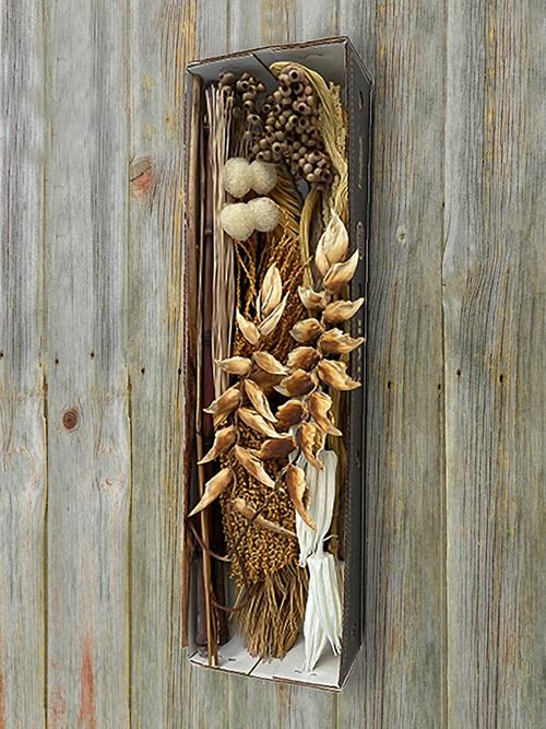 Wholesale Bleached Preserved Assorted Combo Box Delivered Online ...