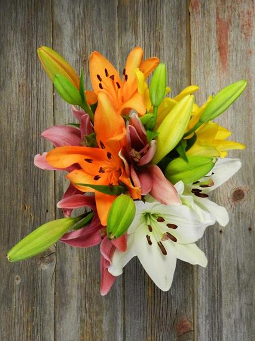 Wholesale 3/Assorted L.A. Hybrids Lilies Delivered Online | FlowerFarm